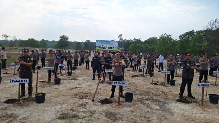 Polda Babel Bersama Forkopimda Tanam Pohon Kayu Putih di Belakang GOR ...