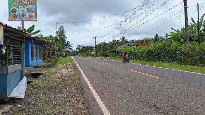 Proses Penangkapan Tersangka Perusak Hutan Lindung di Belinyu, Warga Sebut RS Bos Kelas Kakap ...