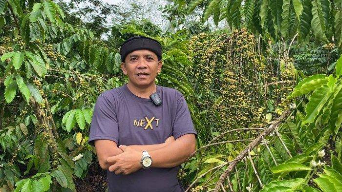 Perjalanan Mardi, Petani Kopi yang Melawan Arus di Tanah Penghasil Lada ...
