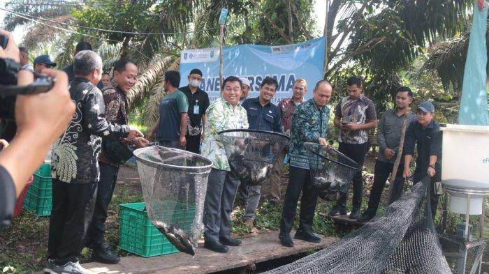 Ikuti Program Smart Farming, Pokdakan Pinang Raya Berhasil Panen 1 Ton ...