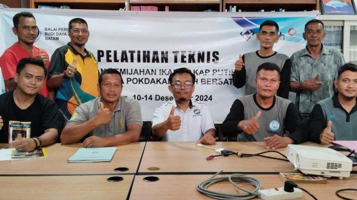 Kolaborasi BPBL Batam, PT Timah Gelar Pelatihan Pemeliharaan dan Pemijahan Ikan Kakap Putih ...