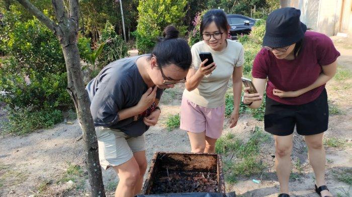 Wisata Hutan Pelawan, Nikmati Sensasi Minum Madu dari Sarang Hingga ...