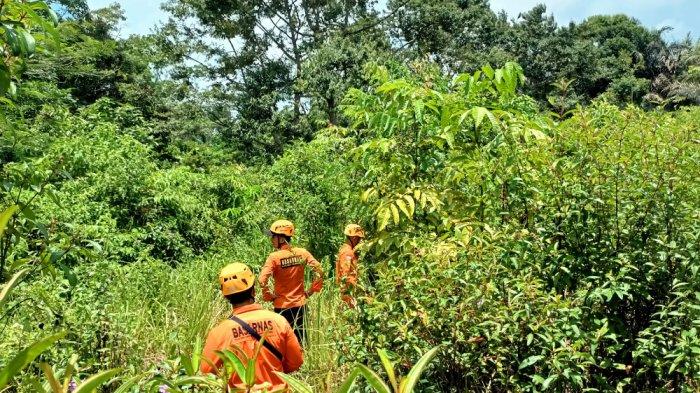 BREAKING NEWS : Nenek Sailan Warga Desa Telak yang Hilang di Kebun ...