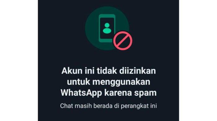 Cara Mengatasi Akun WhasApp Dianggap SPAM, hingga Diblokir, Begini langkahnya - Bangkapos.com