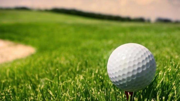 Inilah Penjelasan Mengapa Bola Golf Dibuat 'Lubang', Tidak Rata dan ...