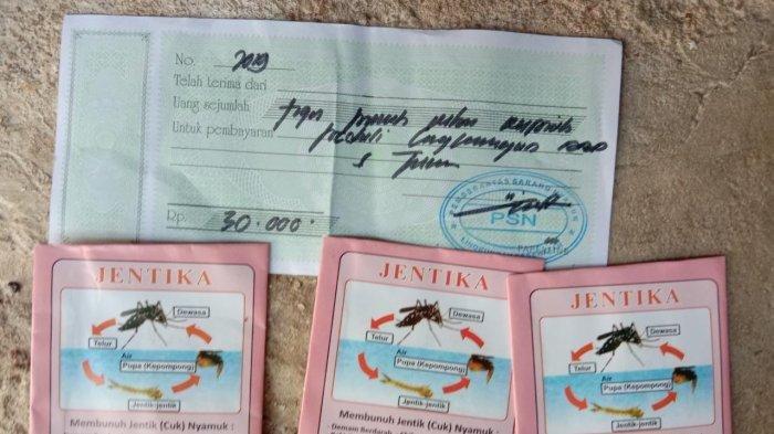 Marak Abate Dijual Seharga Rp 20 Ribu di Belitung Timur, Dinas ...