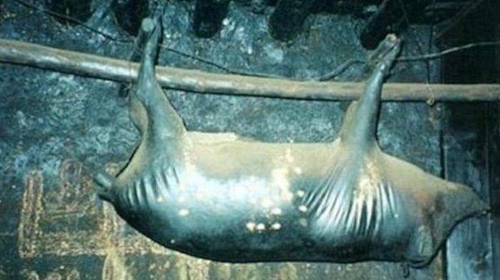 Makanan Ekstrem di China Jadi Sorotan, Daging Babi Digantung Selama 30 ...