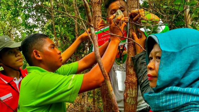 Pohon Idat Jadi Pagar Bukit Maras - Bangkapos.com