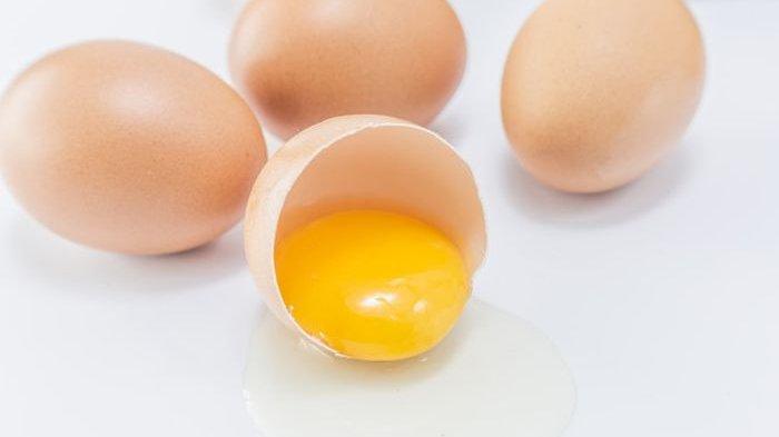 Ragam Manfaat Kuning Telur yang Sayang Dilewatkan - Bangkapos.com