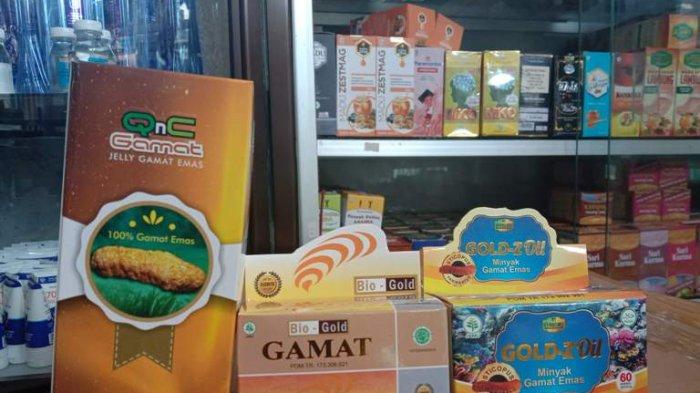 Gamat Obat Herbal Paling Banyak Dicari karena Khasiatnya Obati Penyakit ...