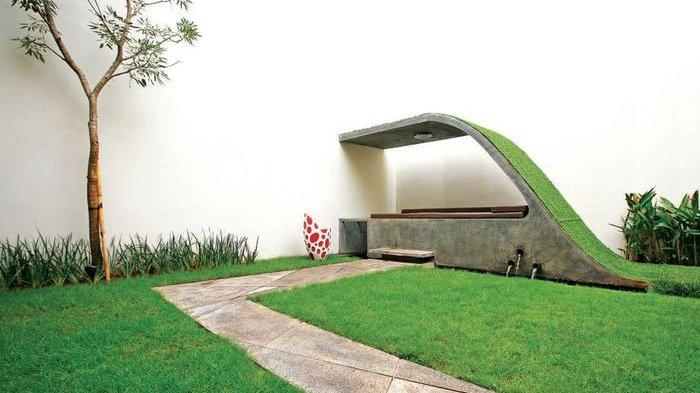 Percantik Pekarangan Rumah, Pahami Fungsi 7 Jenis Rumput Hias Ini ...