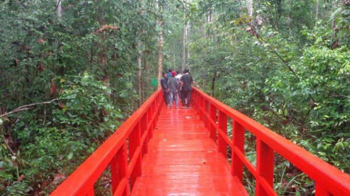 Hutan Pelawan Namang Jadi Ikon Wisata Alam - Bangkapos.com