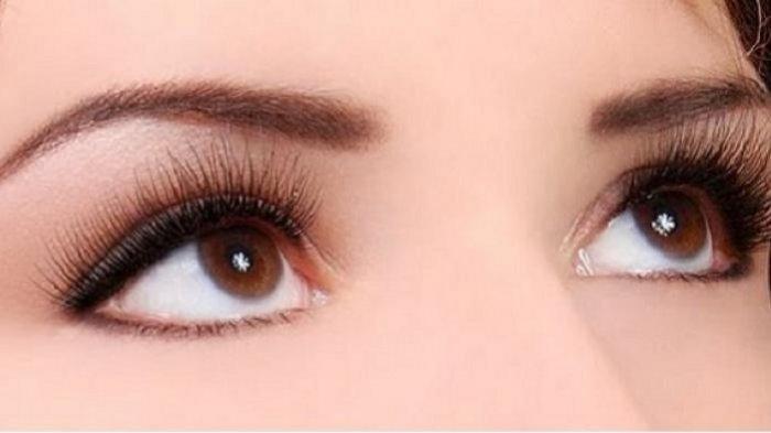 9 Tips Pemasangan Bulu Mata yang Benar Agar Terhindar dari Iritasi ...