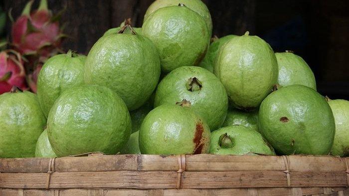 Mengenal 4 Manfaat Jambu Kristal, Buah yang Jadi Populer dan Banyak ...