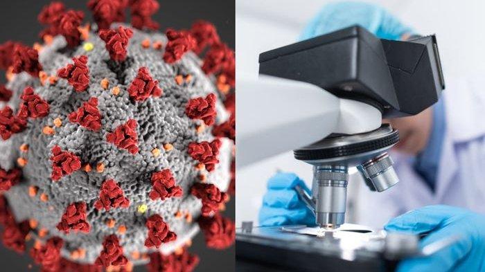 Inilah 3 Obat Terapi Covid-19 yang Pasokannya Dijamin Kemenkes ...