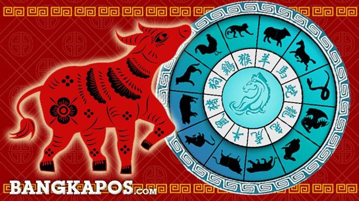 Shio 2021 Menjadi Milik Kerbau, Ini Bocorannya - Bangkapos.com