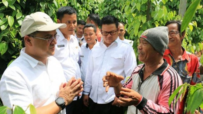 Gubernur Bangka Belitung Menyerahkan Penghargaan Pemenang Lomba Kebun ...
