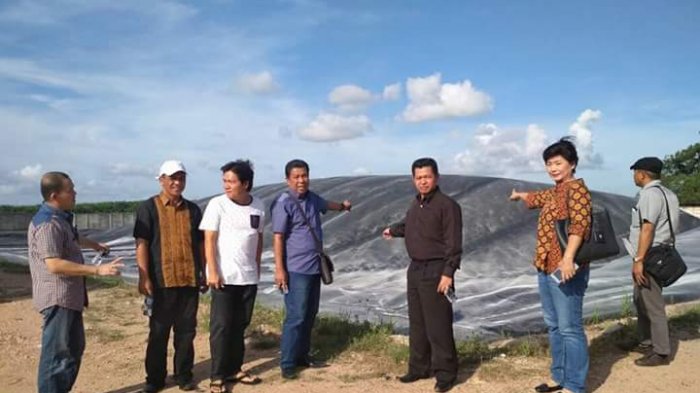 Di Lampung Masyarakat Butuh Pabrik Tapioka, Di Bangka Pabrik Tapioka ...