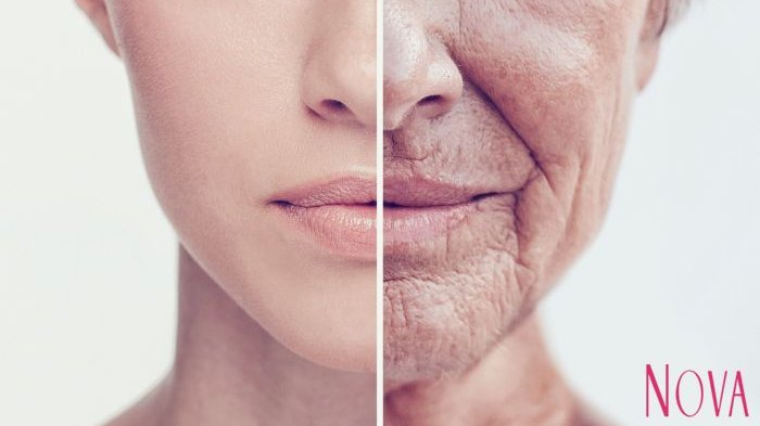 Sifat Manusia Bisa Dibaca dari Ekspresi Wajah, dari Terkejut Hingga ...