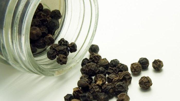 Lada Hitam Bersifat Termogenik, Kenali Manfaatnya - Bangkapos.com