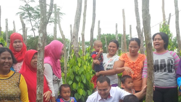 Babel Rumah Kite Janji Berikan Sejuta Junjung Sahang Gratis - Bangkapos.com