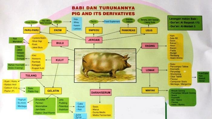 Ketahui Produk Makanan Halal di Pasaran, Istilah Ini Mengandung Babi ...