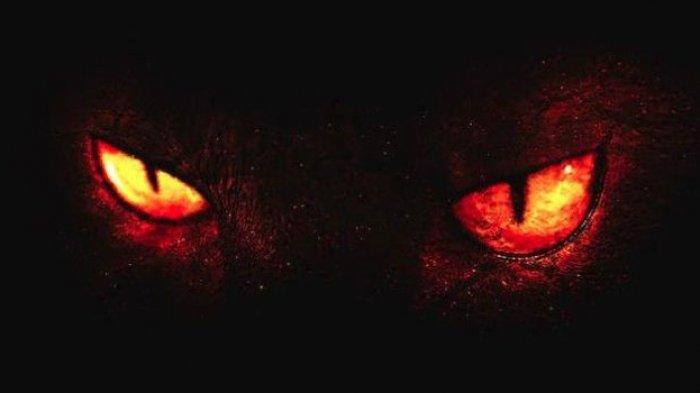 MOLLY Penyihir Bermata Merah yang Disebut Pengikut Iblis dan Memiliki ...