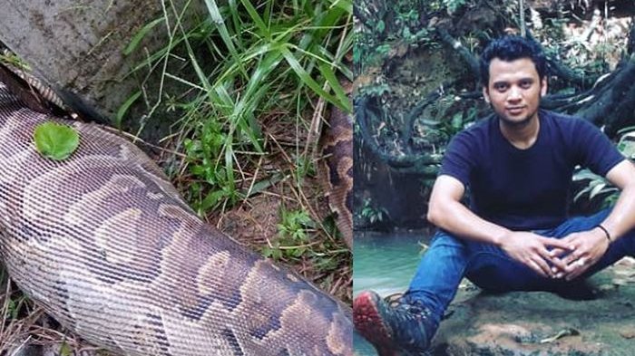 Panji Si Petualang Ungkap 5 Penyebab Ular Memangsa Manusia di Sulawesi ... Panji Si Petualang Ungkap 5 Penyebab Ular Memangsa Manusia di Sulawesi ...