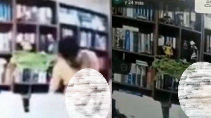 Viral Video ABG Berhubungan Intim di Tempat Umum Ternyata Kelas 3 SMP, Begini Nasib Keduanya ...
