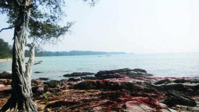 Wisata Pantai dan Situs Bersejarah Desa Sungai Buluh Jadi Destinasi ...