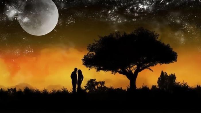 Pohon Terbesar dari Emas di Surga Untuk Umat Nabi Muhammad ...