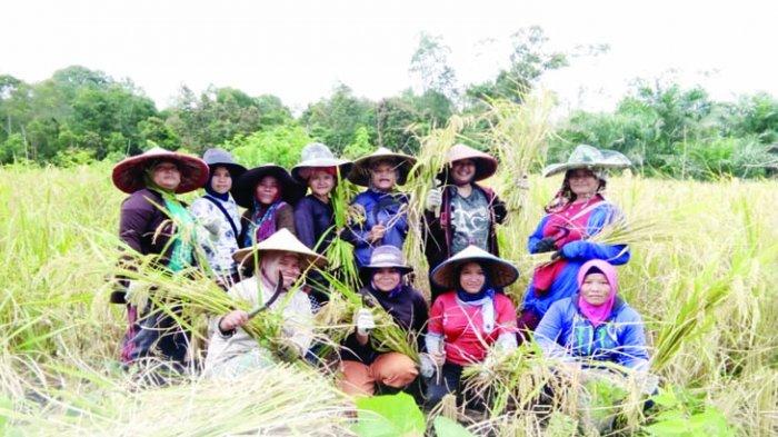 Potensi Budaya dan Pertanian Desa Rukam Menjanjikan - Bangkapos.com