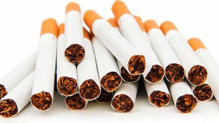 Inilah Daftar Harga Rokok Terbaru di 2022 dari Sampoerna, Surya, Djarum ...