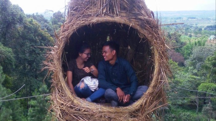 Unik, Sarang Burung Raksasa di Puncak Bukit Jadi Lokasi Selfie Cantik ...