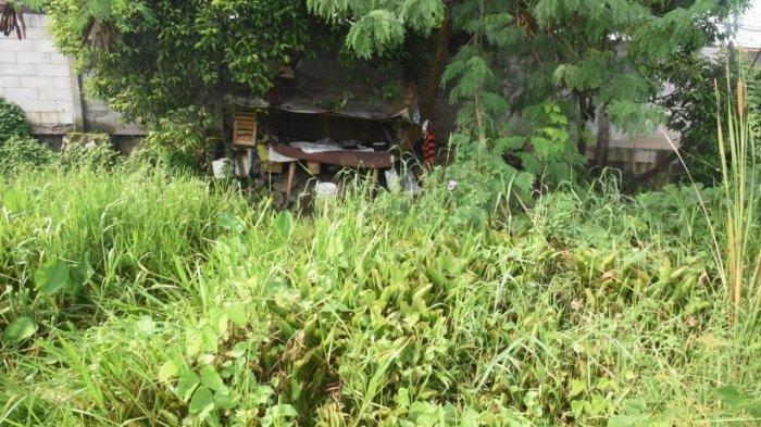 BOCAH 10 Tahun Hidup Sendiri di Tengah Rawa dan Semak Belukar, Kini ...