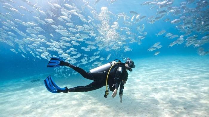 Komunitas Diving Dukung Wisata Bahari Belitung Timur, Tanam Terumbu ...