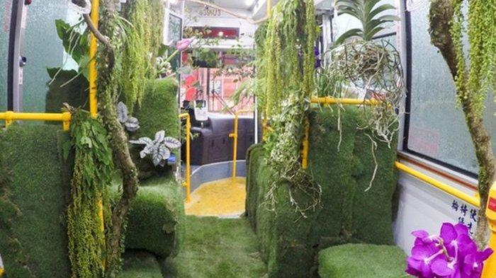 Bus Ini Penuh Tanaman Bikin Serasa di Hutan, Begini Sensasinya ...