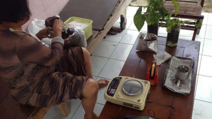 Kisah Farida yang Terselamatkan Hidupnya karena Rokok - Bangkapos.com