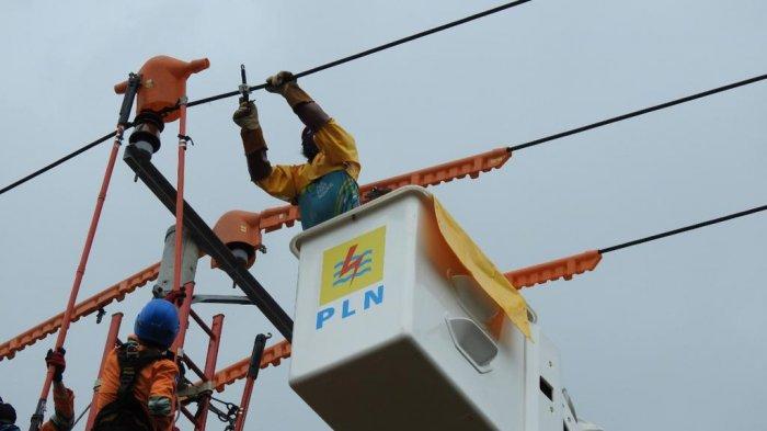 Mengintip Kerja Pasukan PDKB Elit PLN, Siaga Memperbaiki Jaringan ...