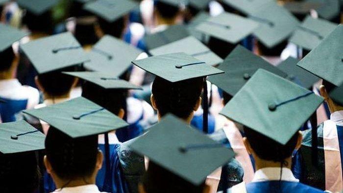 Cara Cek Data Mahasiswa hingga Dosen di Situs Resmi PDDikti pddikti ...