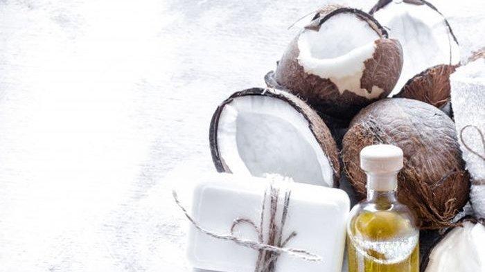 Inilah Cara Membuat Minyak Goreng dari Kelapa dan Sejumlah Manfaatnya - Bangkapos.com