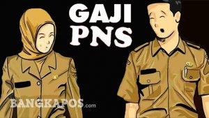 Gaji ASN 2025 Naik Berapa Persen, Simak Perbandingan Gaji PNS dan PPPK 2024 - Bangkapos.com