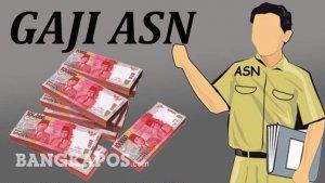 Gaji ASN 2025 Naik Berapa Persen, Simak Perbandingan Gaji PNS dan PPPK 2024 - Bangkapos.com