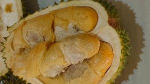 Harga Durian Musang King dan Montong Jauh Kalah Mahal dengan Durian Ini : Rp1,5 Juta per Kg ...
