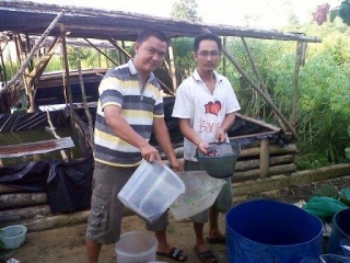 Hendra Kembangkan Ikan Lele Masamo - Bangkapos.com