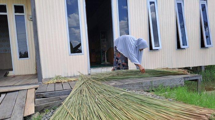 Perajin di Bakumpai Budidaya Rumput Purun di Halaman Rumah, Satu Gulung ...