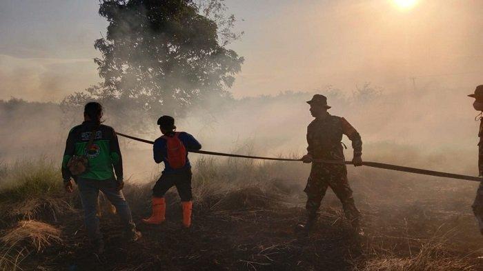 Karhutla di Tapin Marak Terjadi, Dandim Ungkap Dipicu Dua Faktor Ini ...