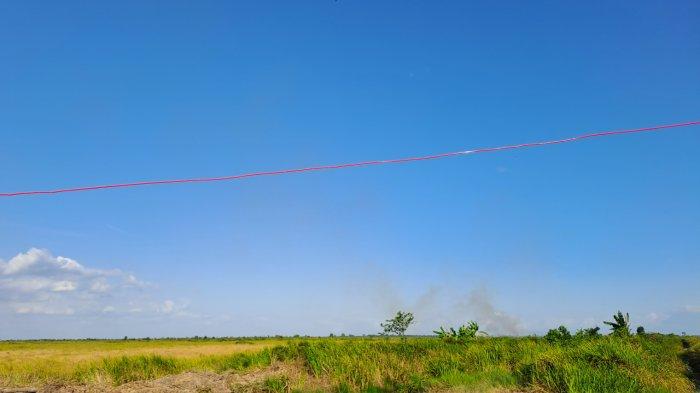 Karhutla Ancam Lahan Pertanian di Batola, Diperkirakan Satu Hektare ...