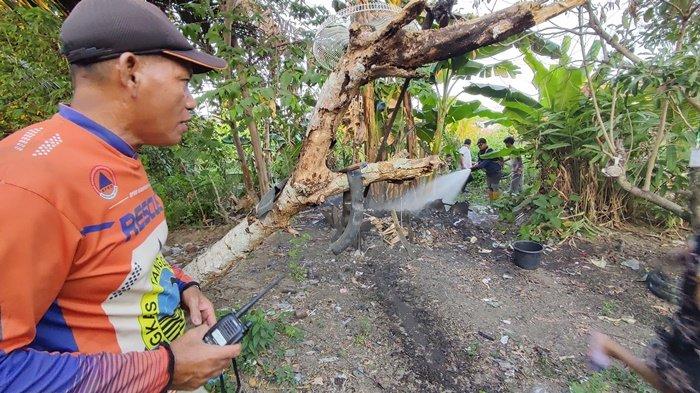 Api pada Timbunan Sampah Membesar di Rangda Malingkung, BPBD Kabupaten ...