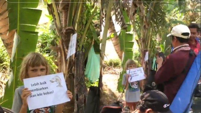 VIRAL Aksi Bocah Bule Jadi Aktivis Lele, Berdiri Sambil Bawa Spanduk di ...